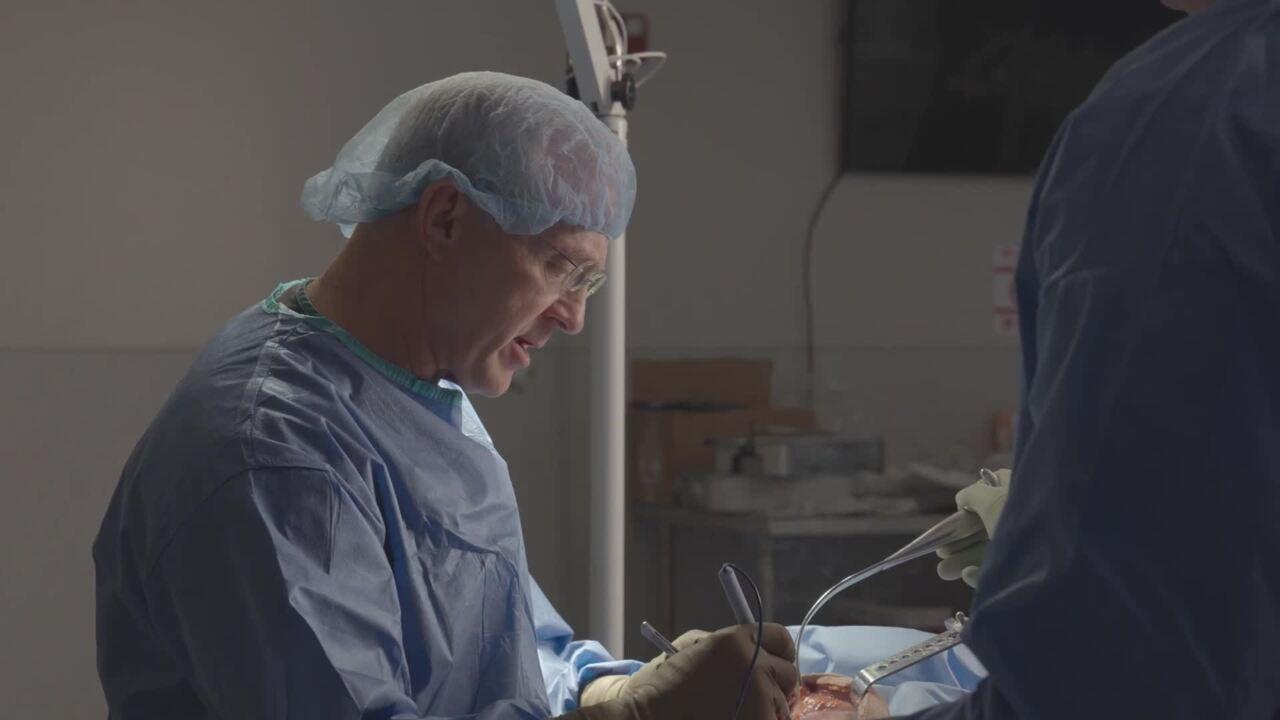 EMPHASYS™ Acetabular Hip System: Posterolateral Approach for Total Hip ...